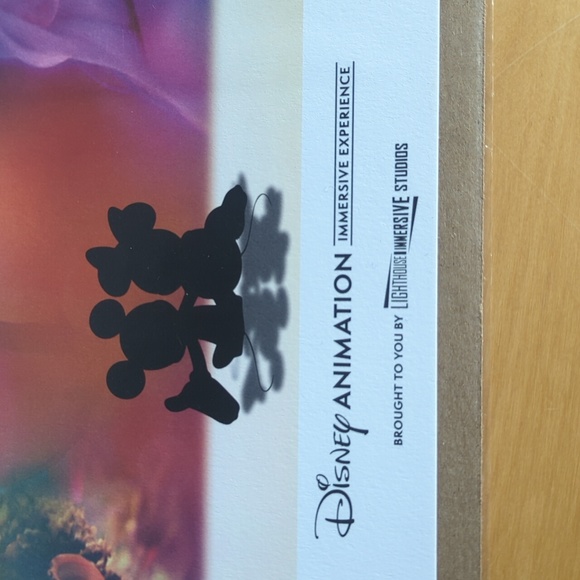 Disney | Art | Disney Animation Immersive Experience Souvenir Print 1 X ...
